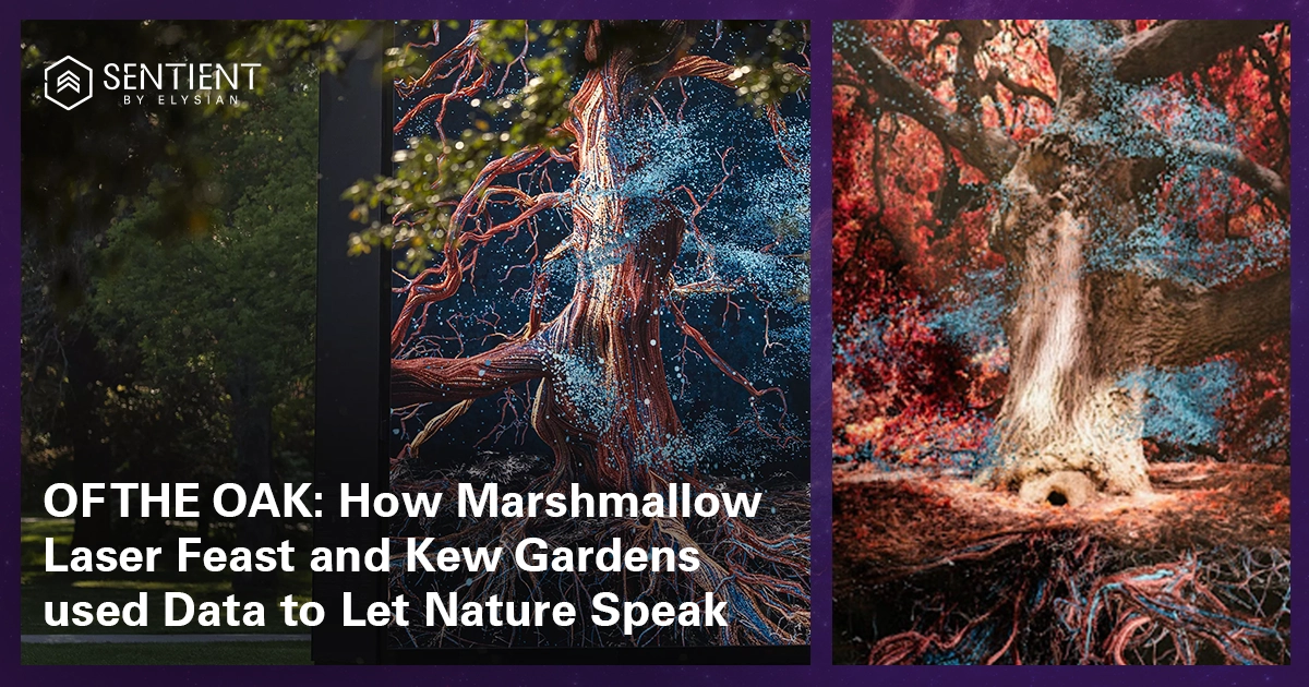 Of the Oak: Data & Art Unite to Let Kew’s Tree Speak
